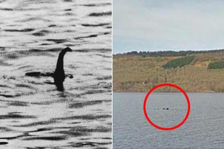 Google scatta una foto sul lago di Loch Ness: è il mostro quello che ...