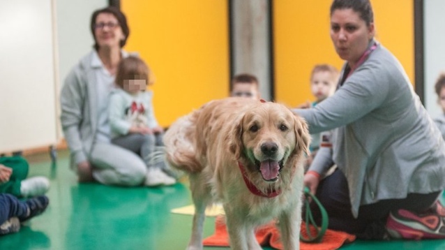 La pet-therapy sbarca all'asilo: per la prima volta in Italia un cane ...