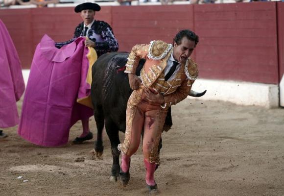 Francia, torero trafitto a morte dal toro: ecco le sue ultime parole