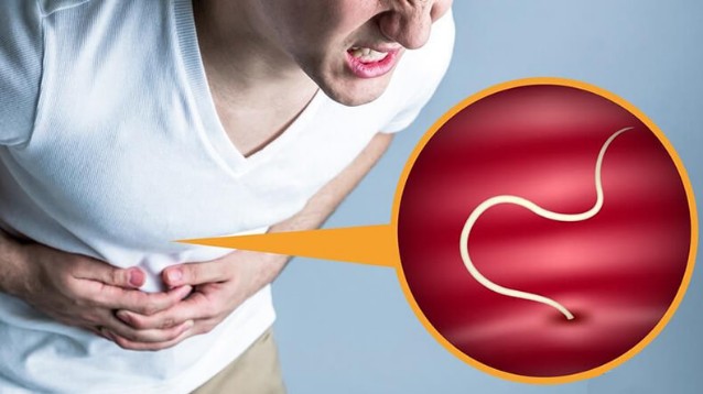 Anisakis: cos'è e quali sintomi può provocare