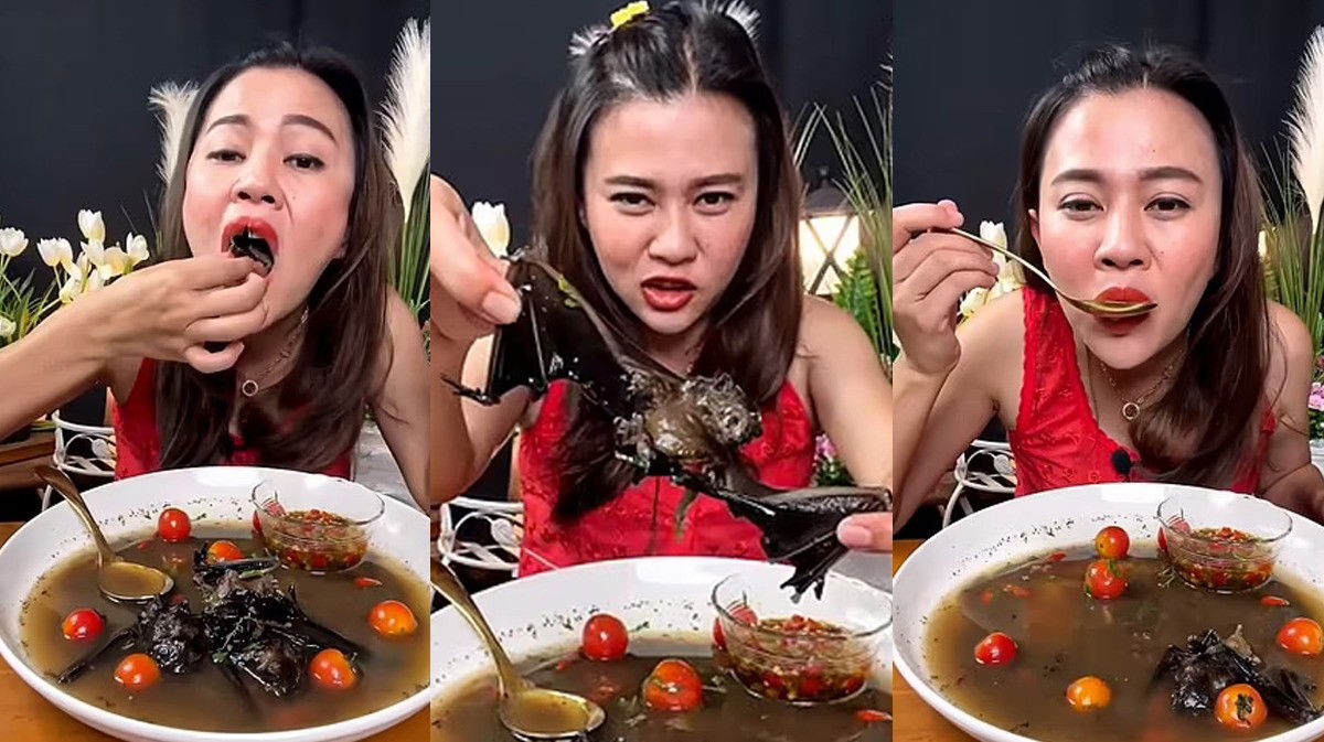 Thailandia: Youtuber mangia pipistrelli in un video, rischia fino a 5 ...