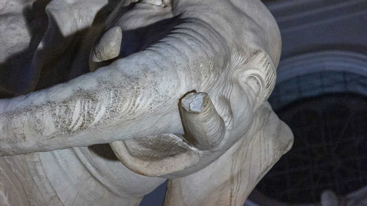 Roma, danni alla statua dell'elefante ad opera del Bernini