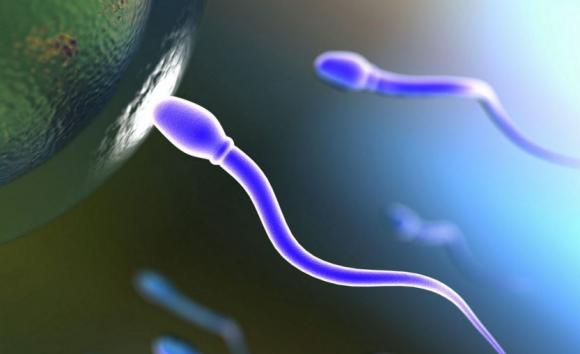 Utero retroverso: cos'è e come influisce su concepimento e gravidanza