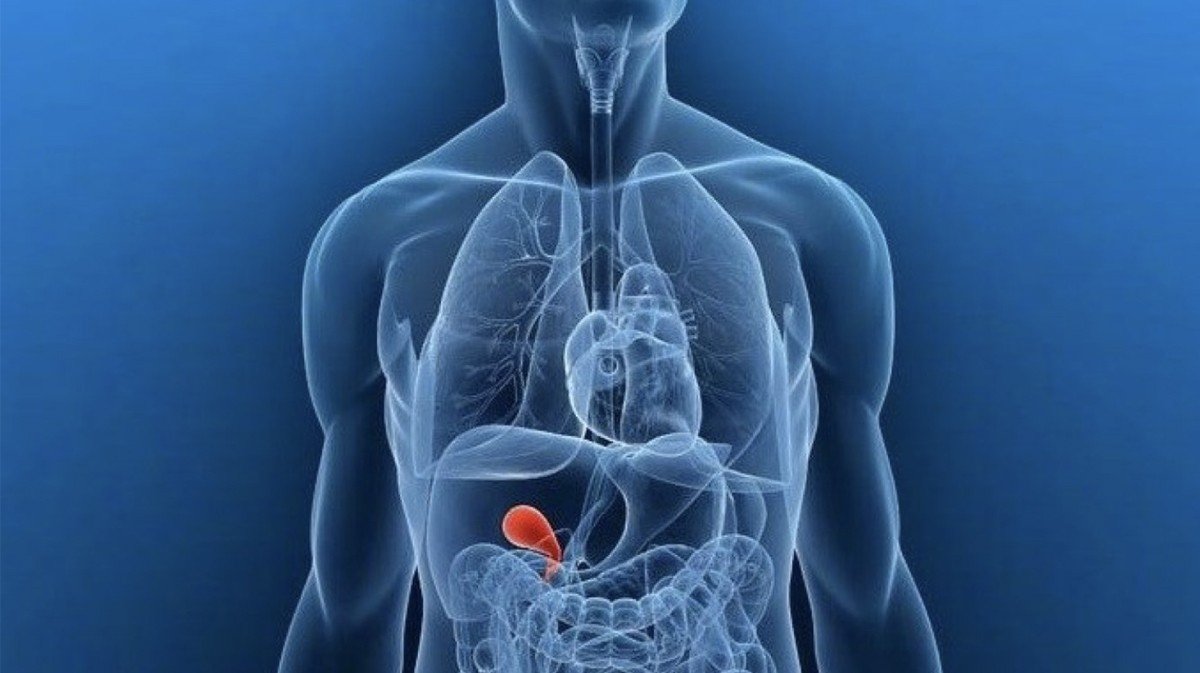 Colecisti e calcoli biliari, guida alla salute digestiva