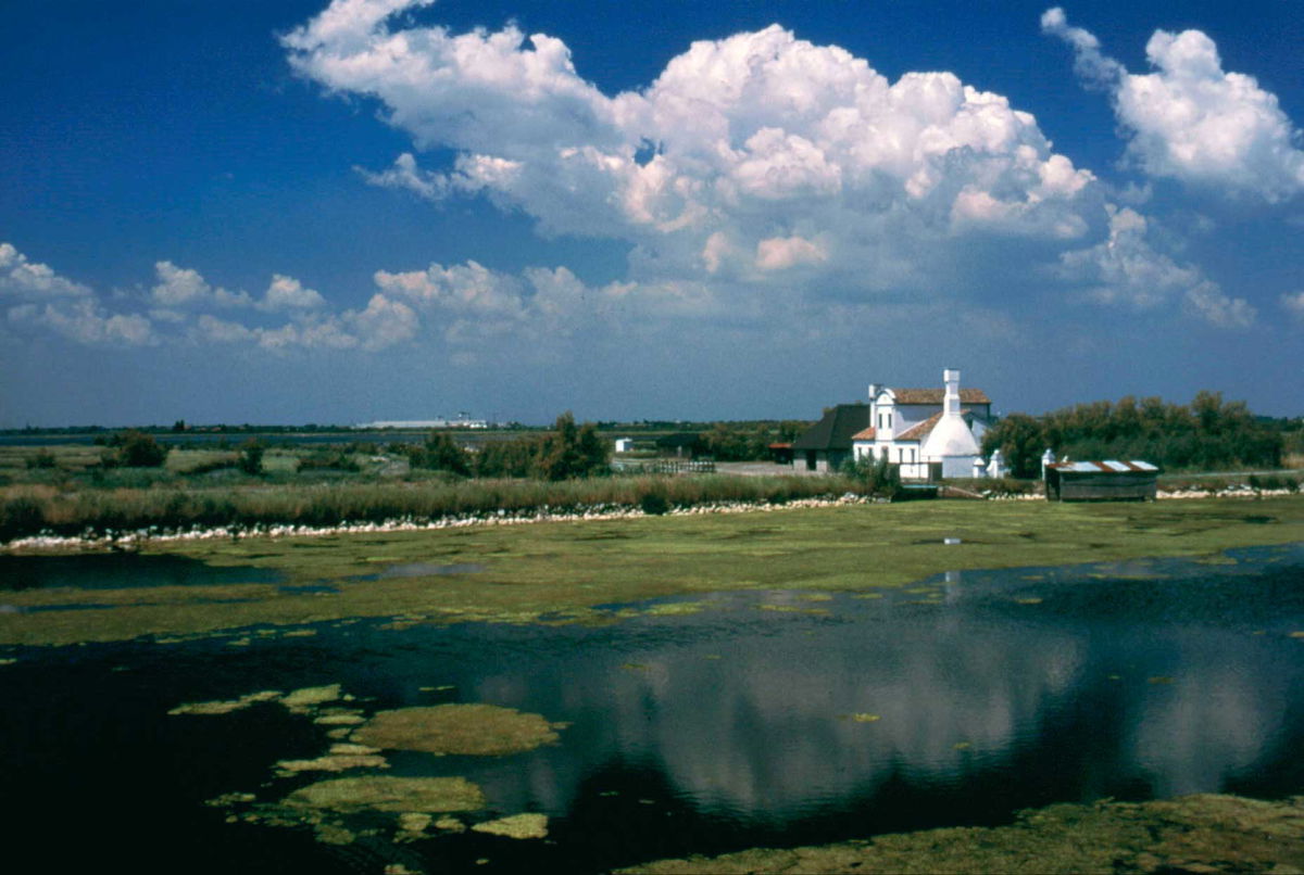 Parco del Delta del Po - Fidelity Viaggi