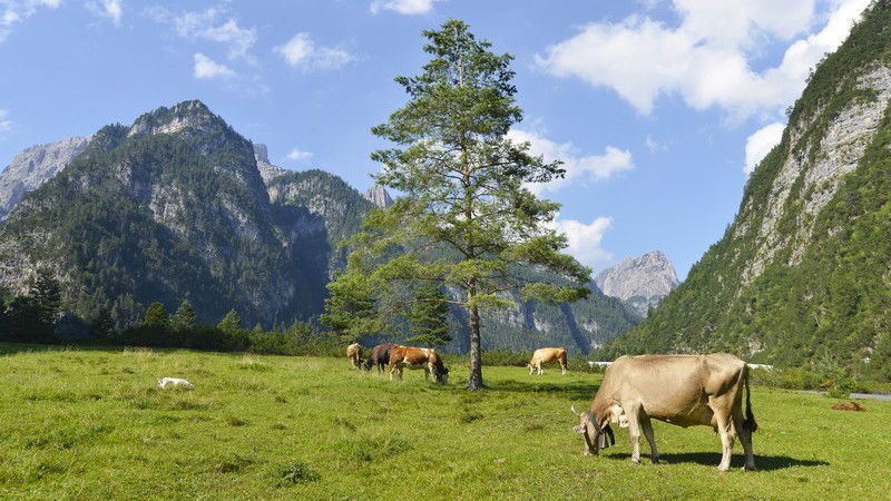 Parco naturale delle Dolomiti Friulane - Fidelity Viaggi